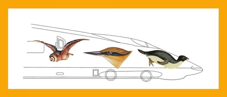 Biomimicry, Nature’s answer to the betterment of our poorly designed world!